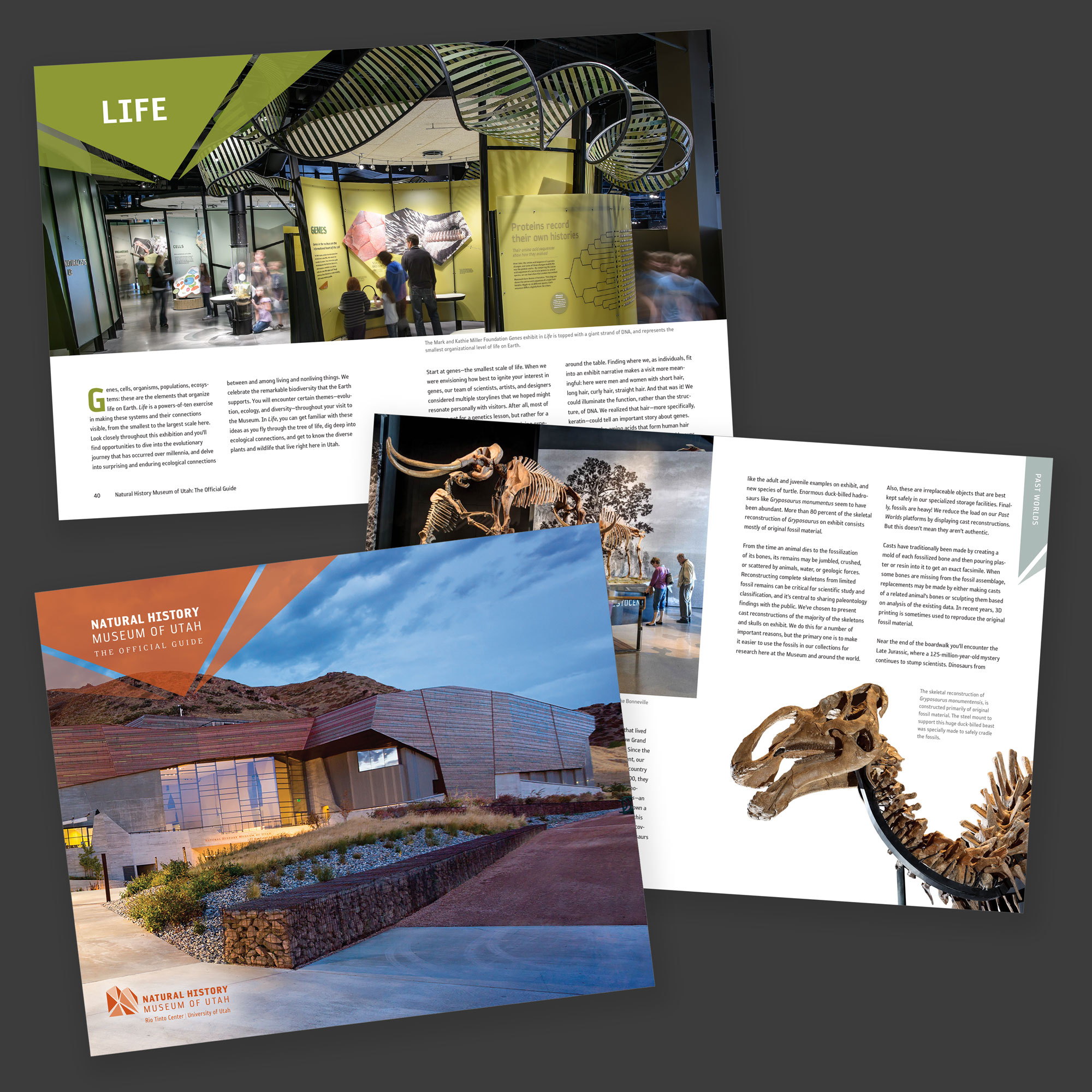 Natural History Museum of Utah: The Official Guide – Liz Paton Design Natural History Museum of Utah: The Official Guide – Liz Paton Design